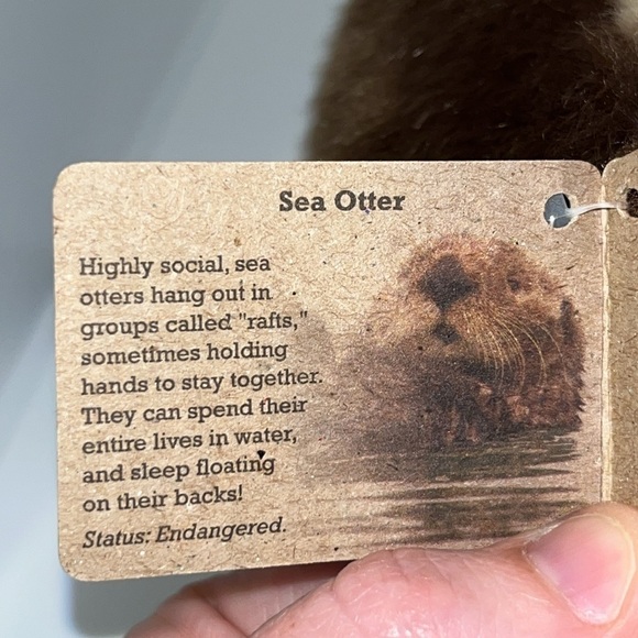 Miyoni | Toys | Nwt Aurora Miyoni Sea Otter Stuffed Animal Plush Lifelike Detail Brown Inches ...